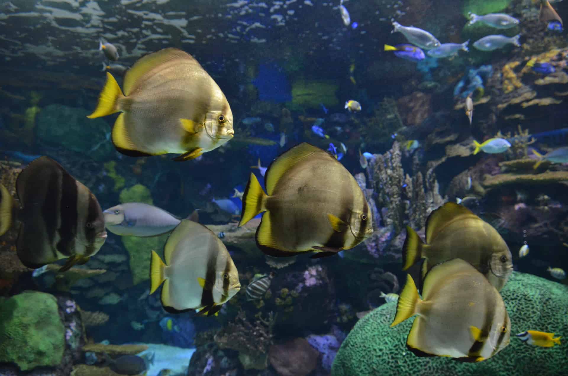 Canada, Toronto - Miranda Loves Travelling